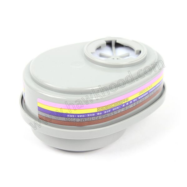 MSA GMC-P100滤片（2个/包）原型号815364 10120750_梅思安（MSA）